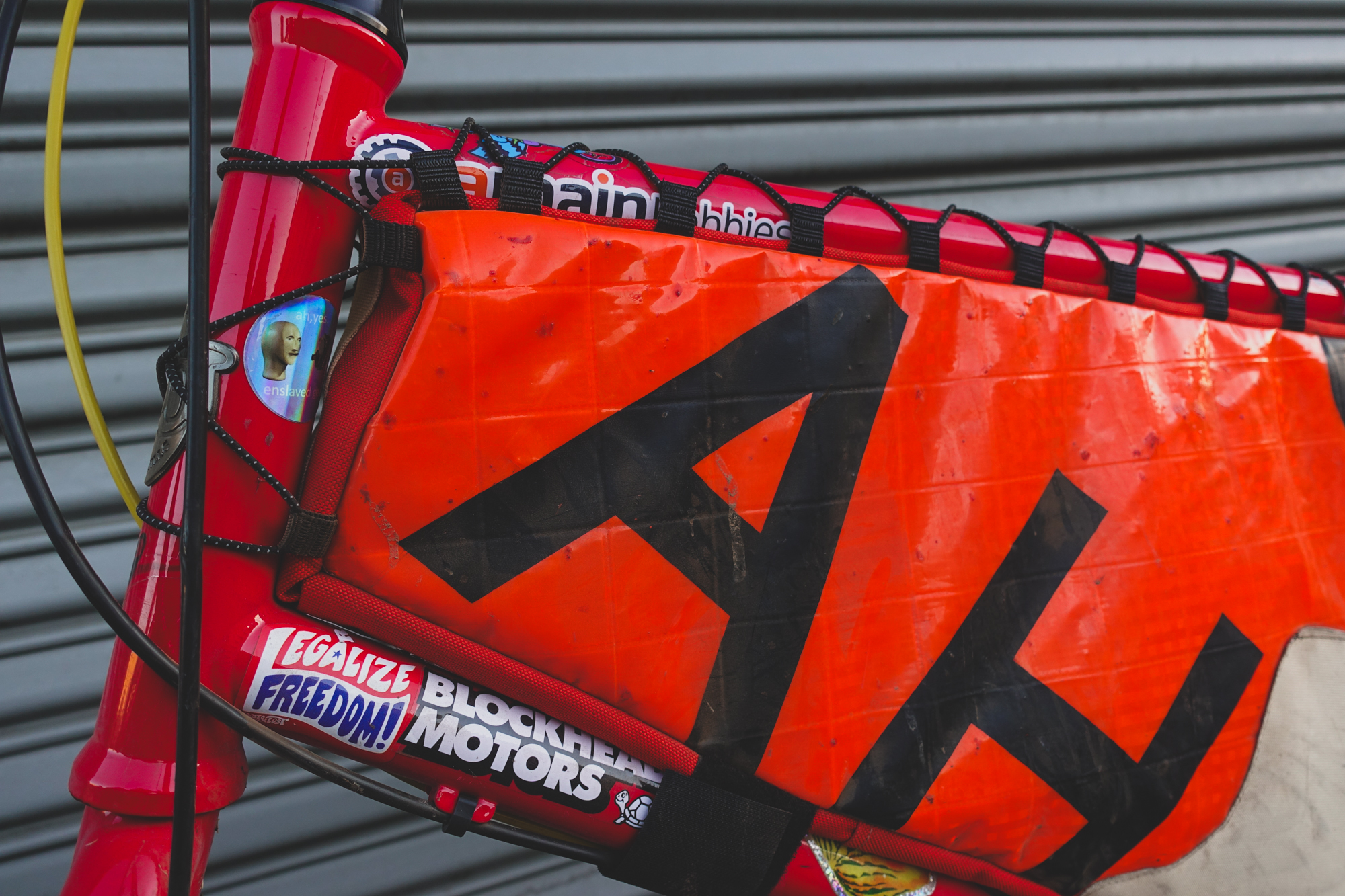 Kyoot Itty Bitty Review: Massive Fun on Mini Wheels – Nicholas Haig ...