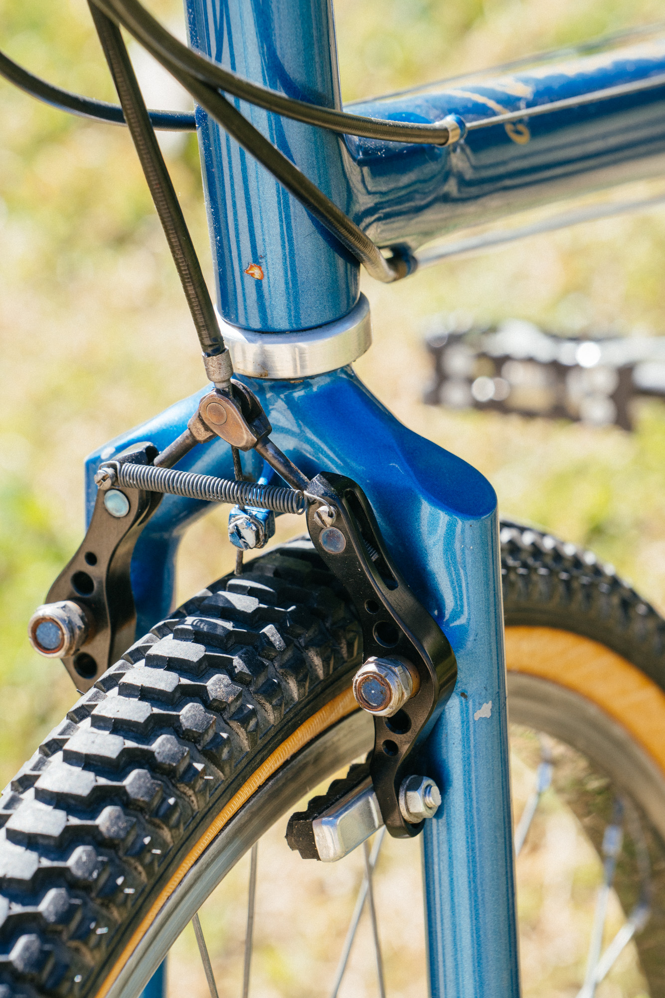 House of Looptail Snake Belly Tires Reissue Review | The Radavist | A ...
