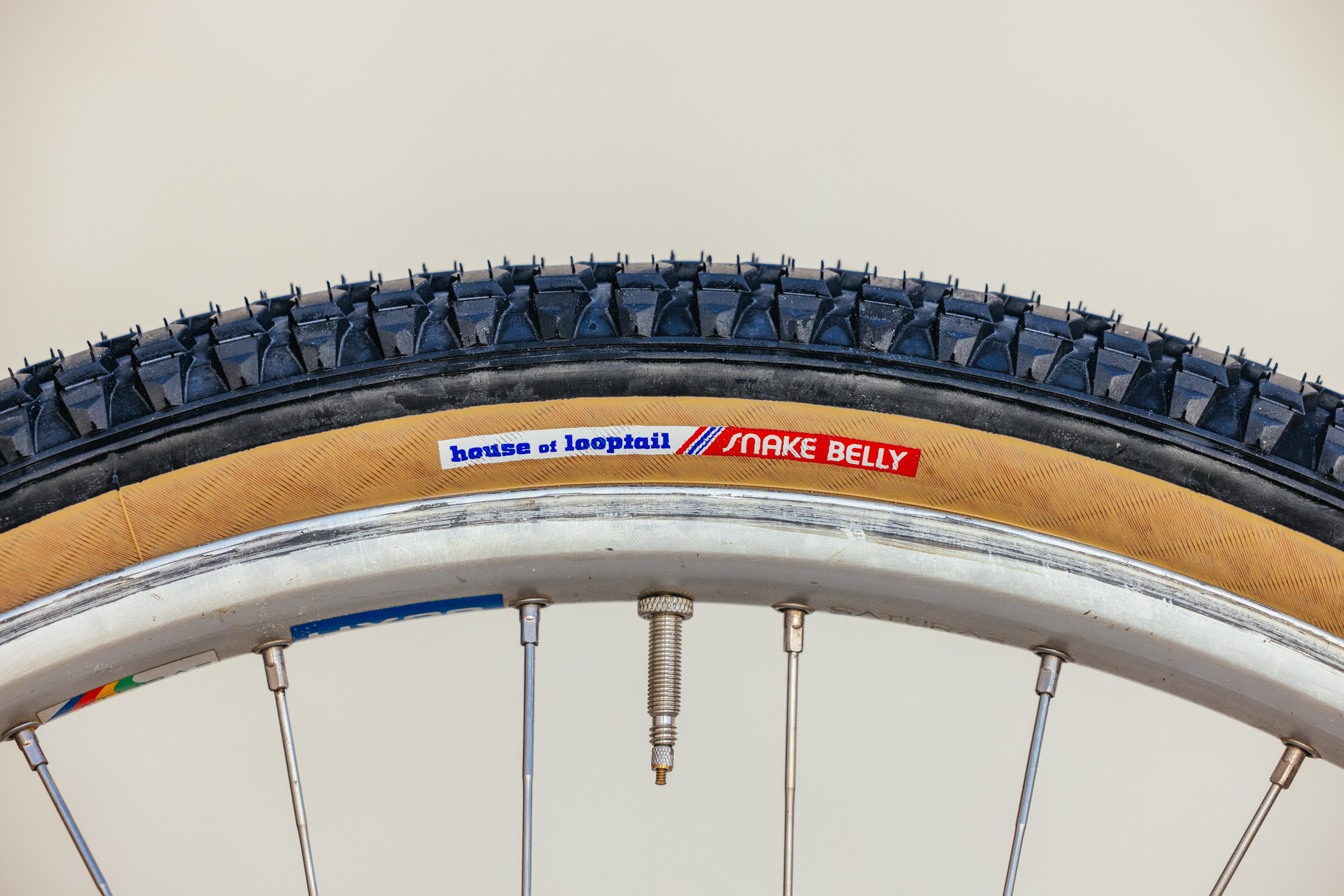 House of Looptail Snake Belly Tires Reissue Review | The Radavist | A ...