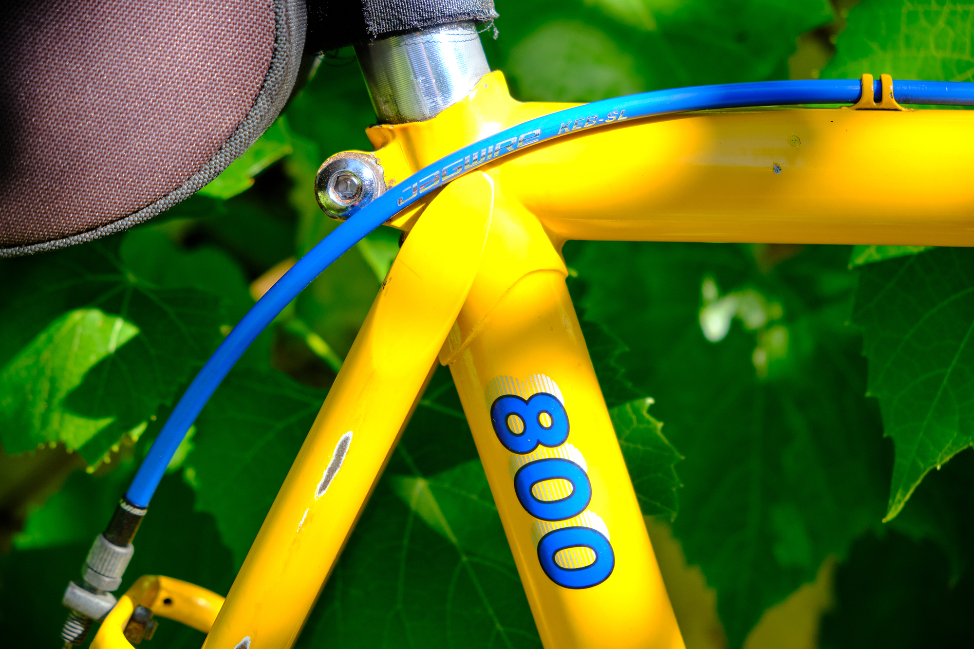 Readers’ Rides: Matt’s 1987 Trek 800 Antelope | The Radavist | A group ...