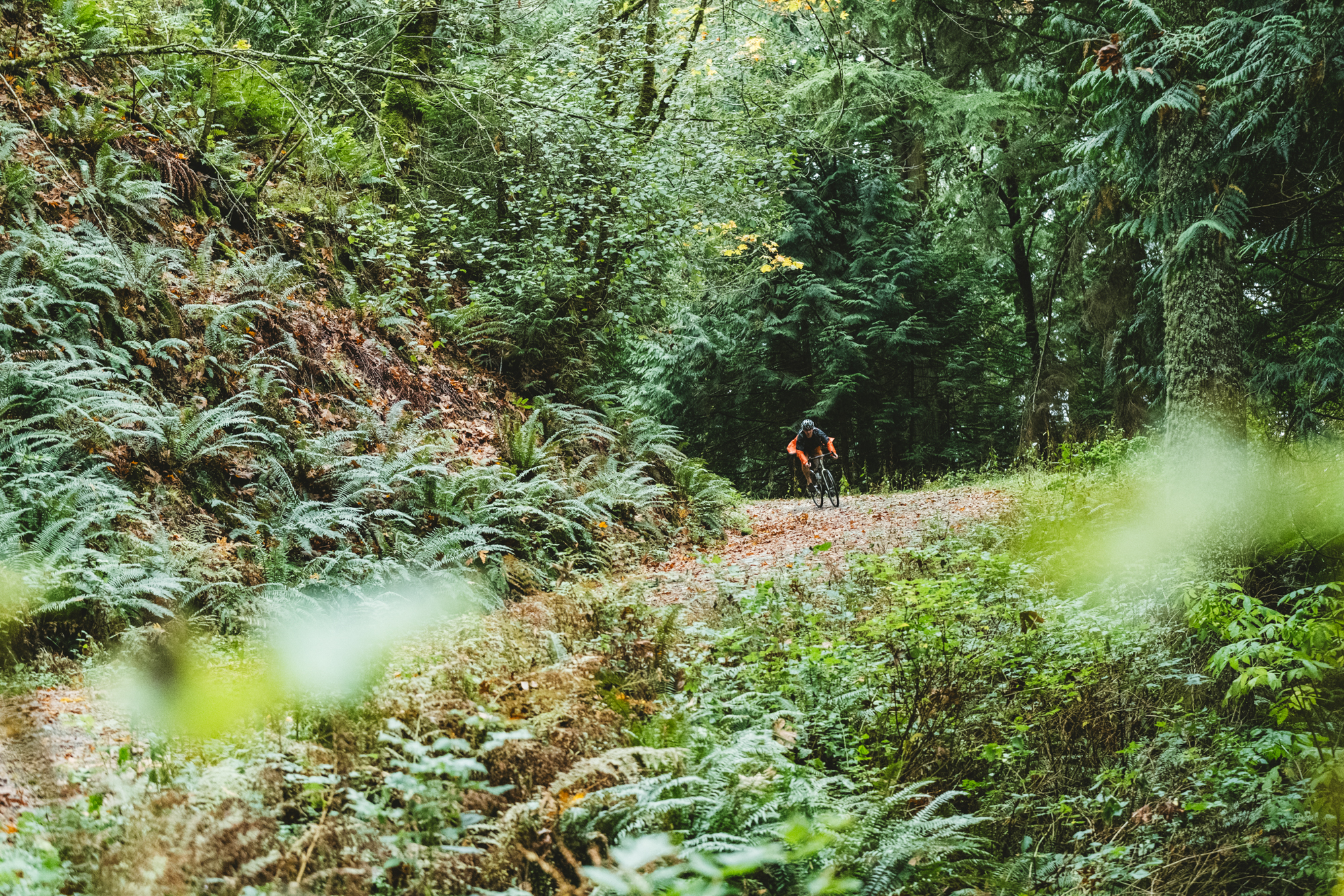 Salsa Confluence Review: Bringing Us Closer – Dillen Maurer & Paul ...