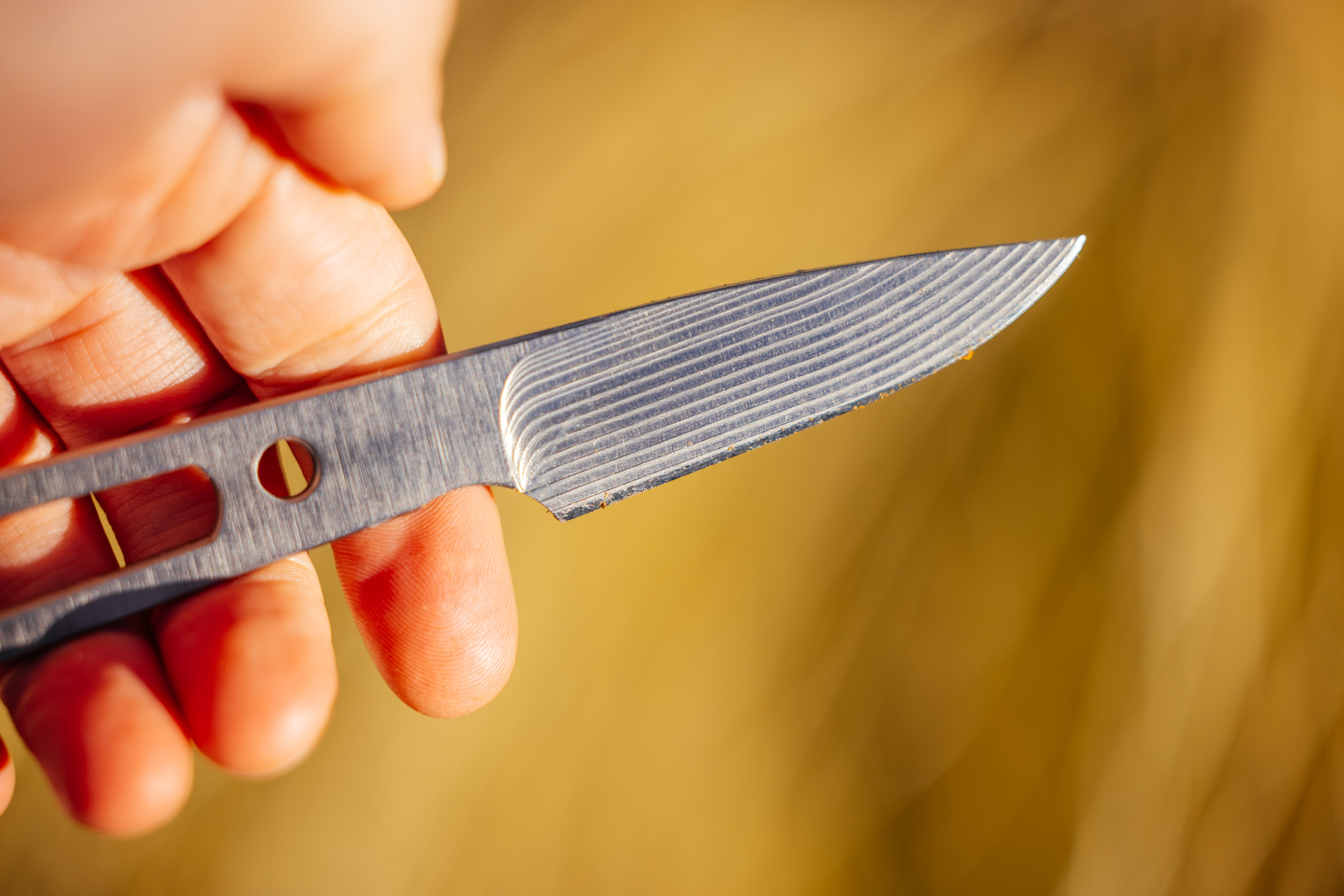 Horse Brand Titanium Pack Knives with Rat King Frames | The Radavist | A group of individuals ...