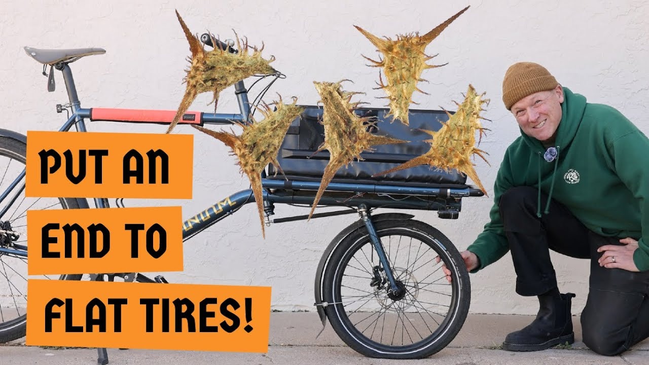 Bike Hacks: Put an End to Flat Tires on Odd-Sized Wheels | The Radavist ...