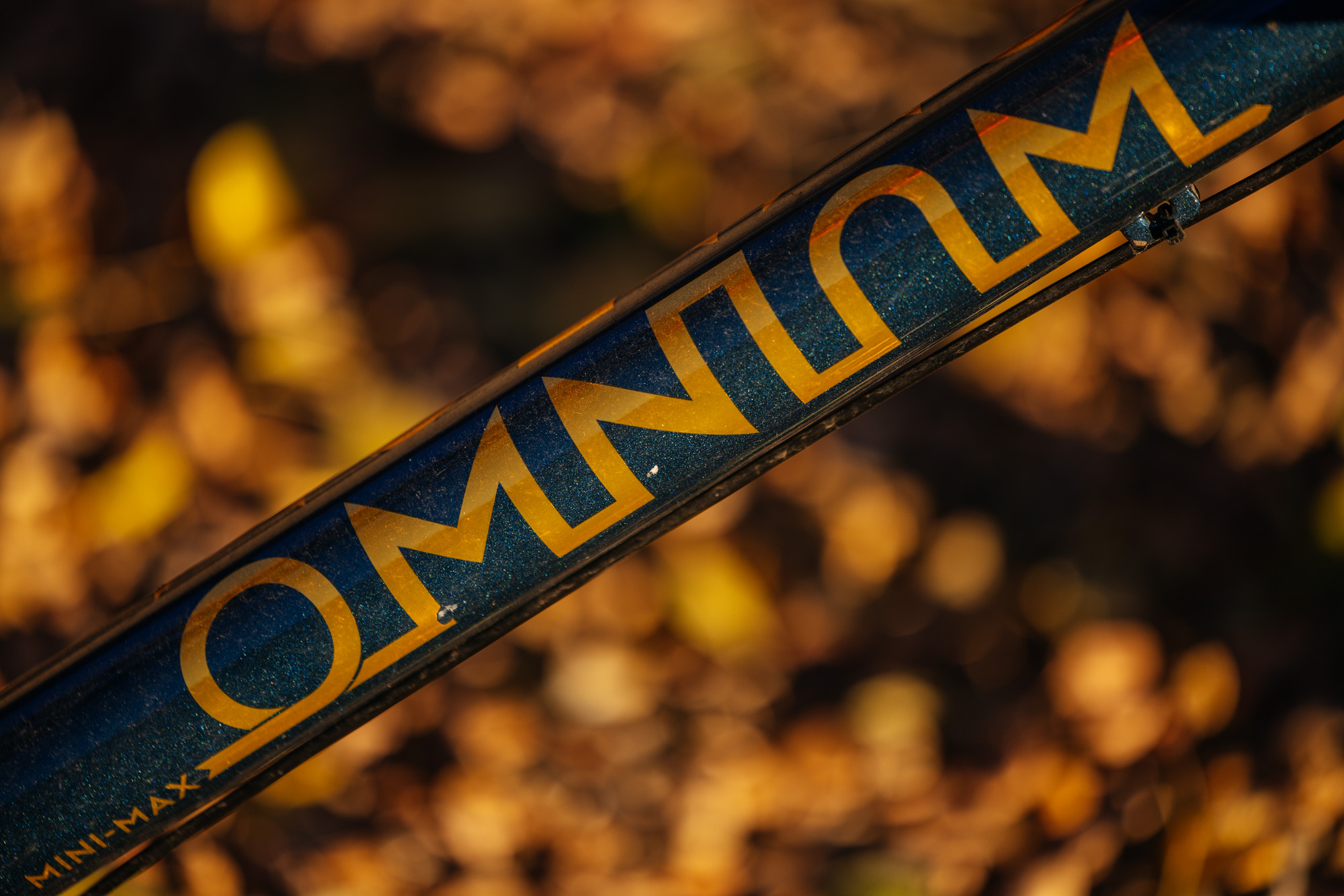 Omnium Mini-Max Review: Much More Than Just a Cargo Bike – John Watson | The Radavist | A group ...