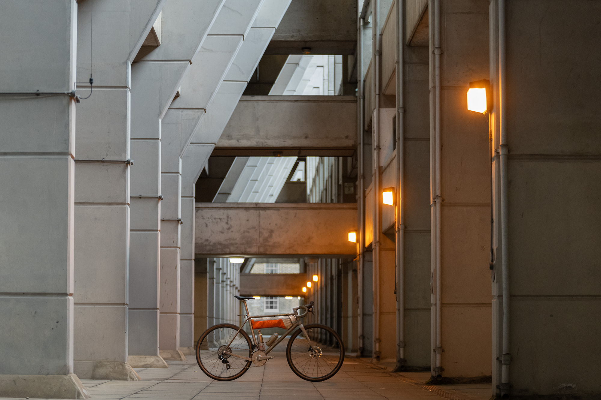 Petor’s Favourite Products, Rides, and More From 2024 – Petor ...