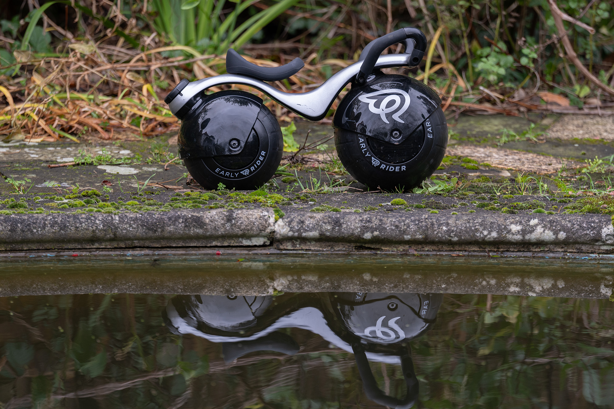 Petor’s Favourite Products, Rides, and More From 2024 – Petor ...