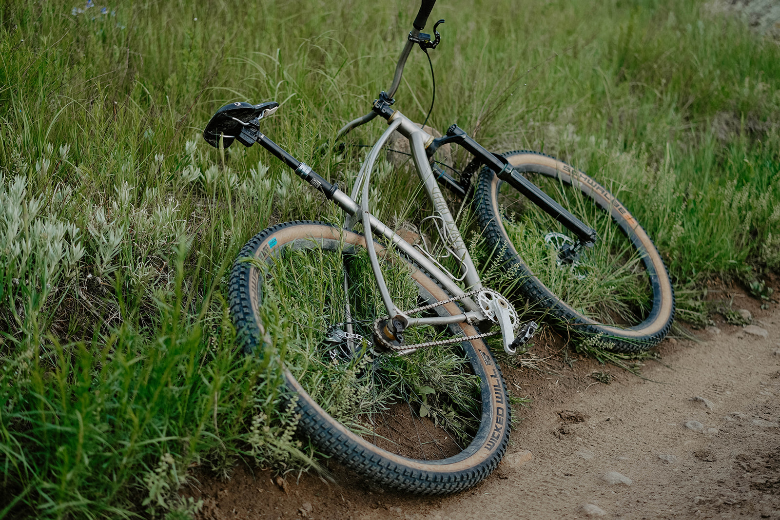 Black Sheep Bikes Speedster Project: Small Batch Hardtails – Josh Hicks ...