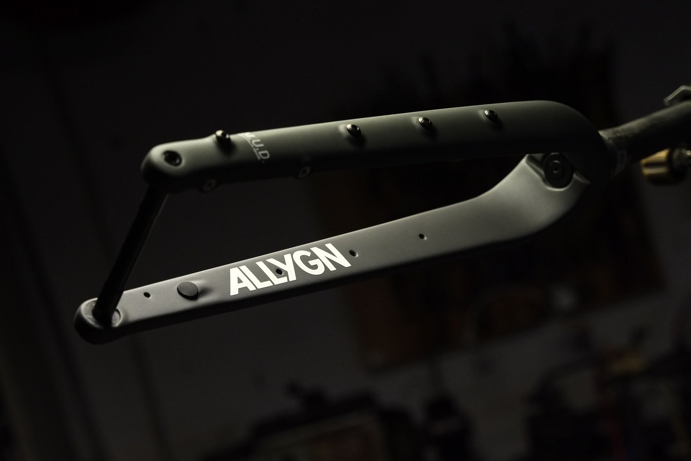 Fern Bicycles ALLYGN M.U.D. Fork | The Radavist | A group of ...