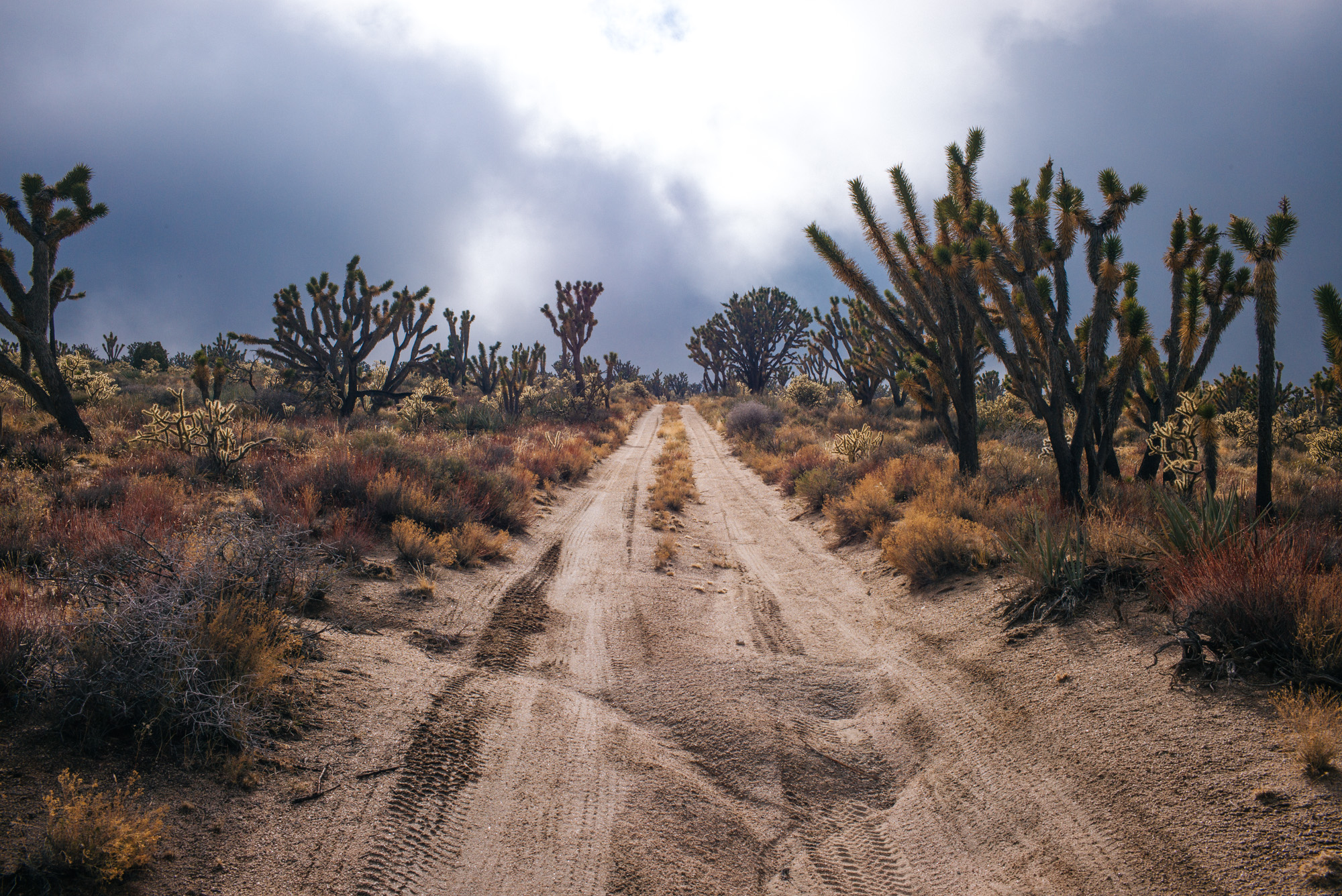 Bikepacking Roots Gold to Grand Loop Route is on the Arizona and Nevada ...