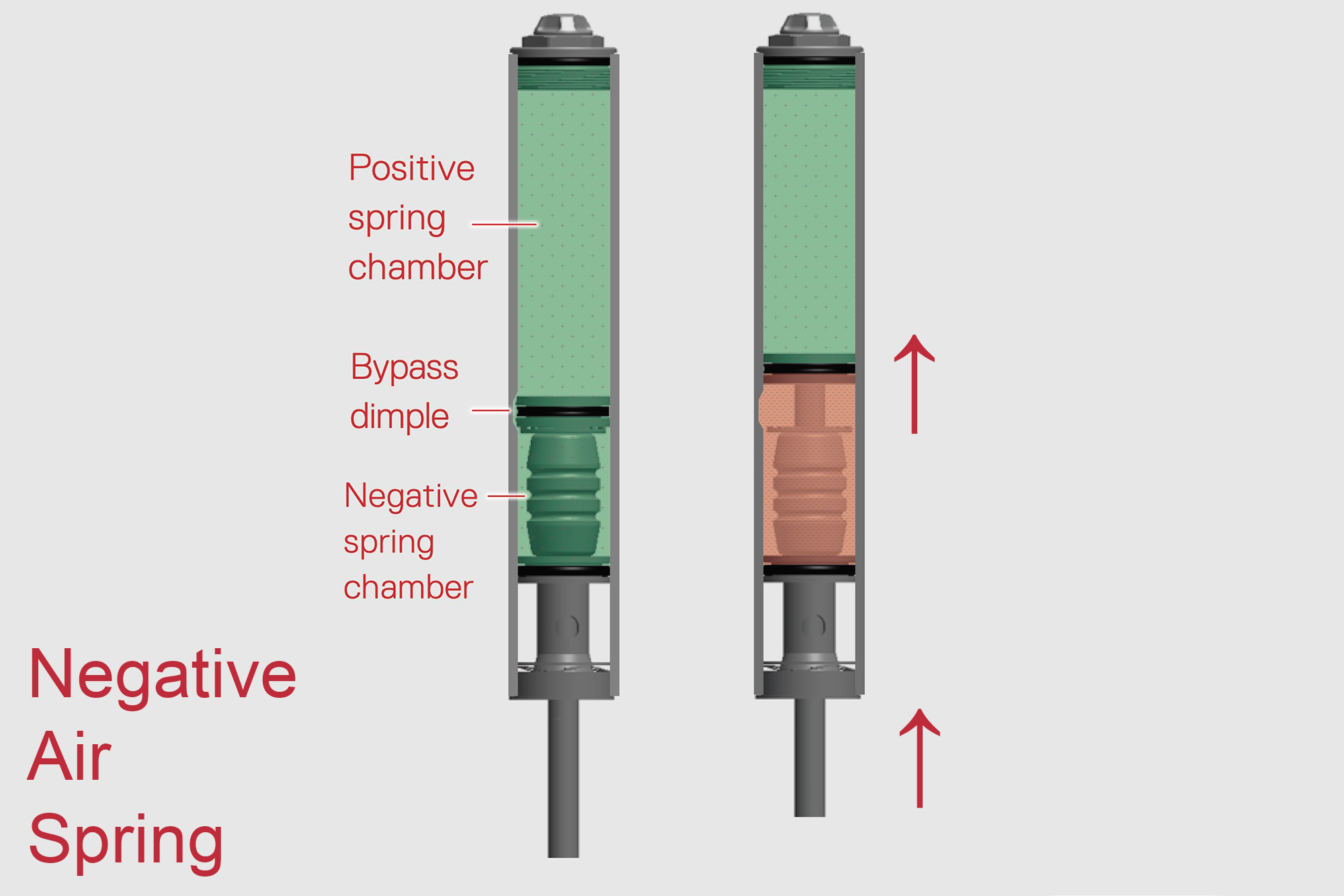Shock Value: The Glossary | The Radavist | A group of individuals who ...
