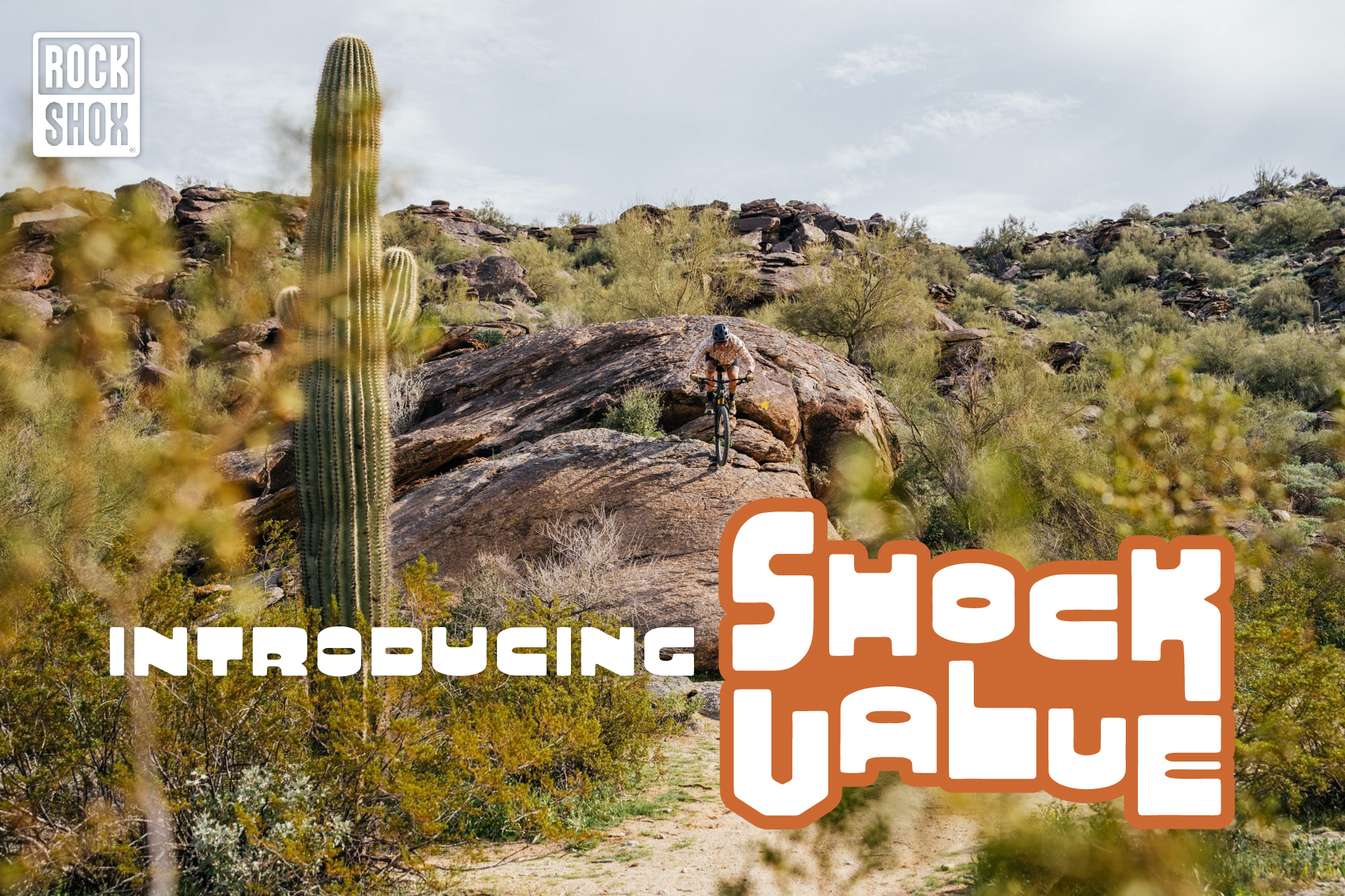 Introducing: Shock Value – A Series About Suspension | The Radavist | A ...