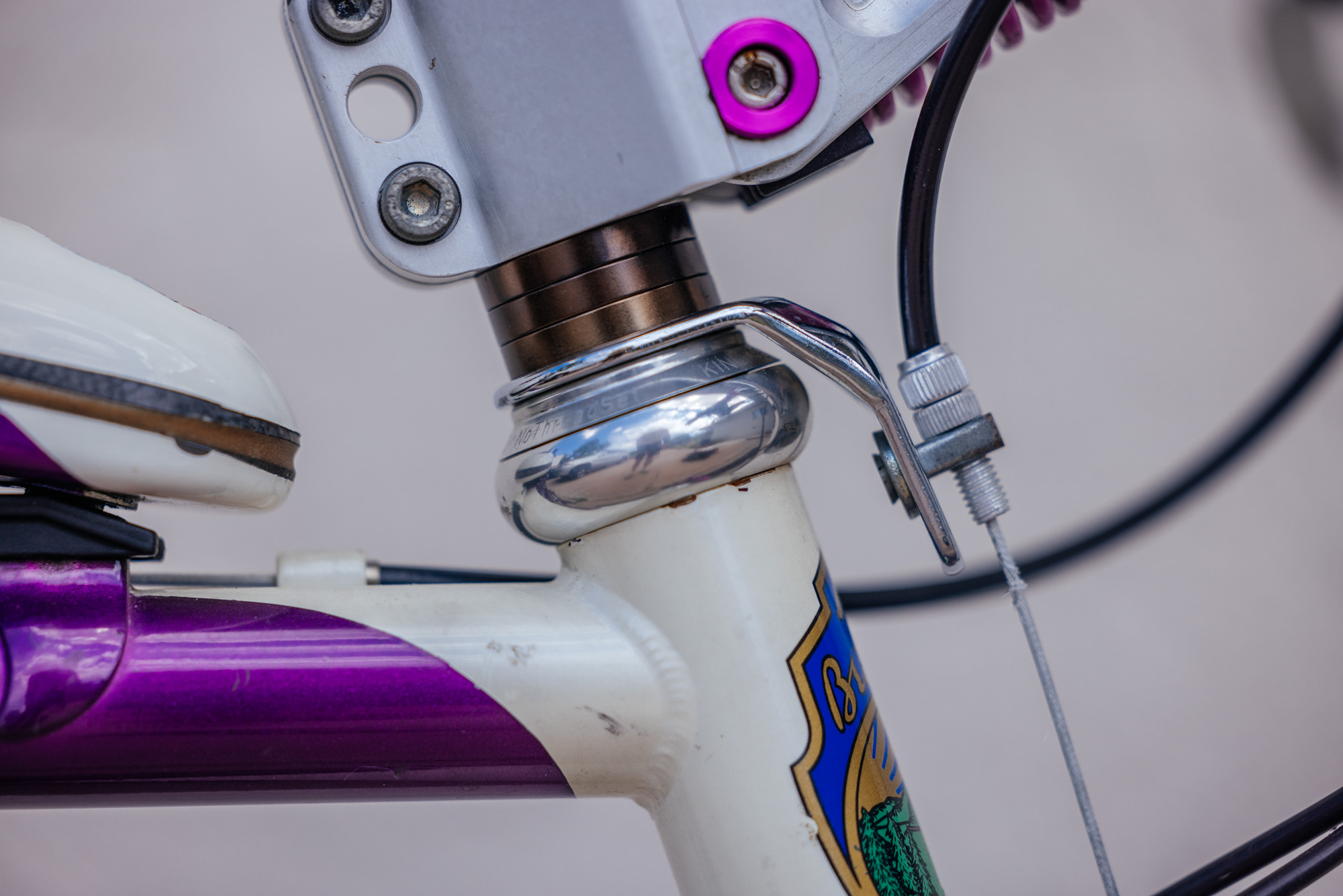 1994 Breezer Beamer: Downright Terrifying – Tasshi Dennis & John Watson | The Radavist | A group ...