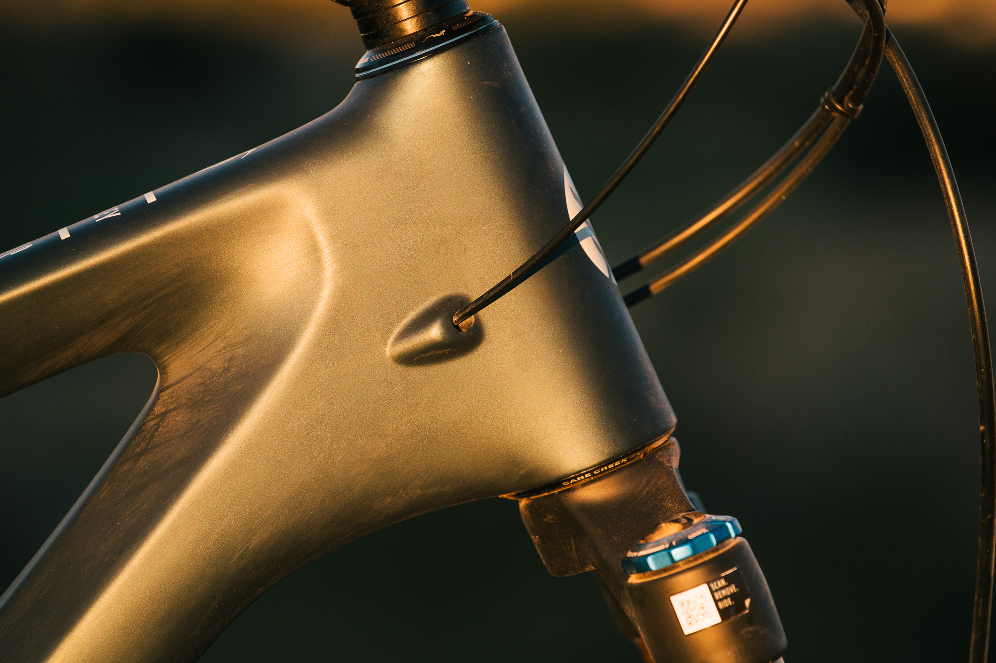 Ibis Ripley V5 Review: Downcountry is Dead – Spencer Harding | The Radavist | A group of ...