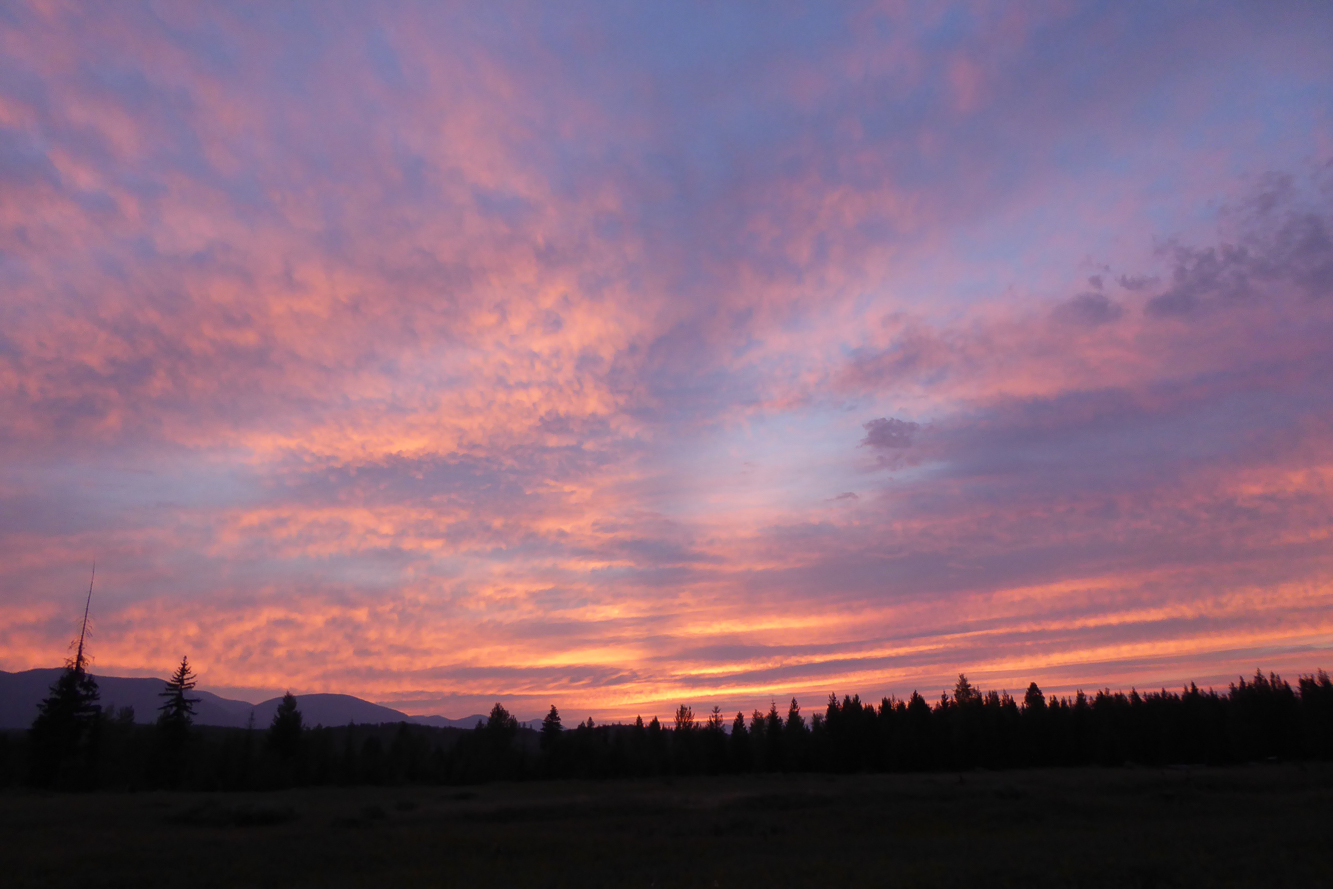 The Slower Divide: Accepting The Kind Of Cyclist You Are – Alex ...