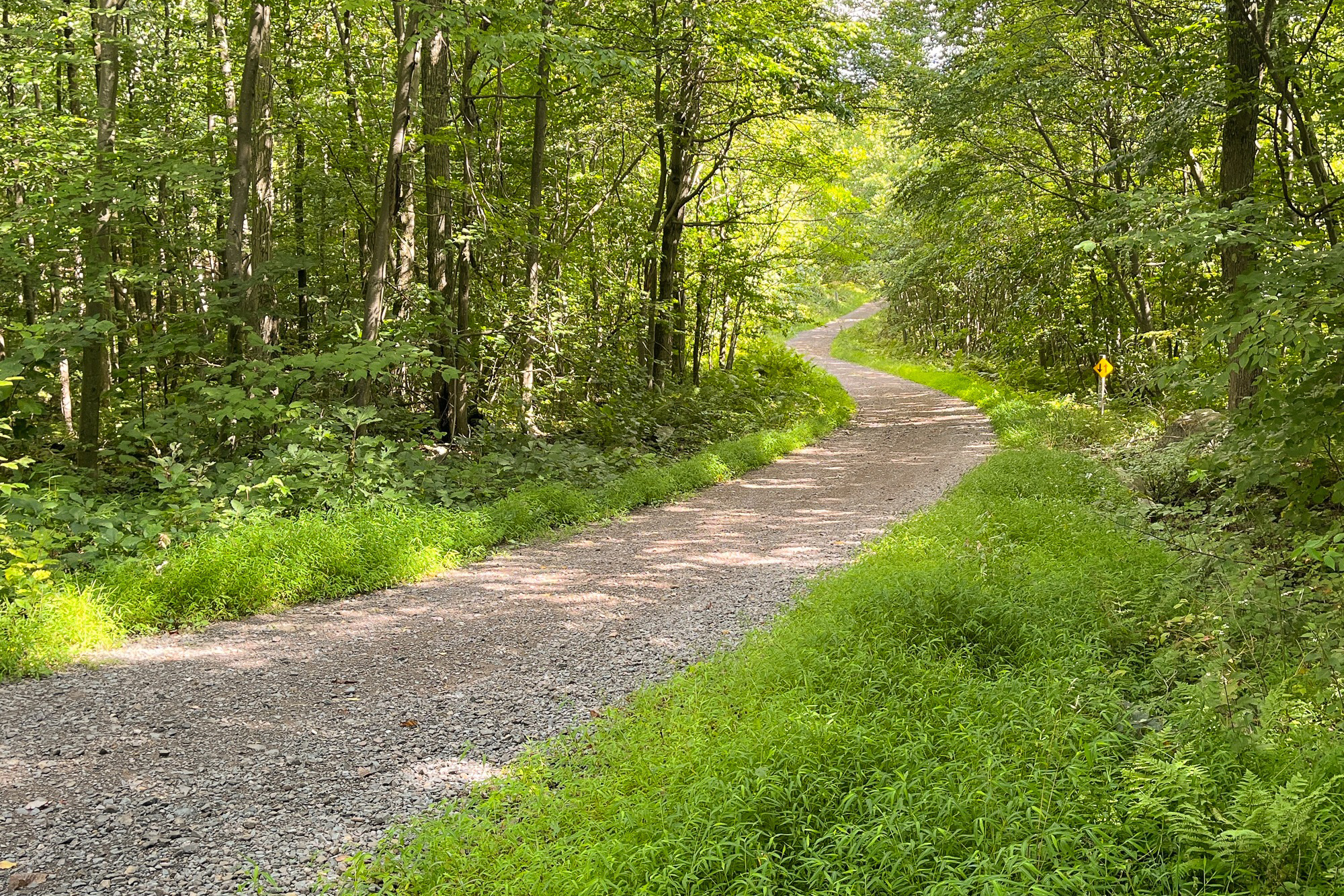 Bikepacking Roots Allegheny Crossroads Bikepacking Loop | The Radavist ...