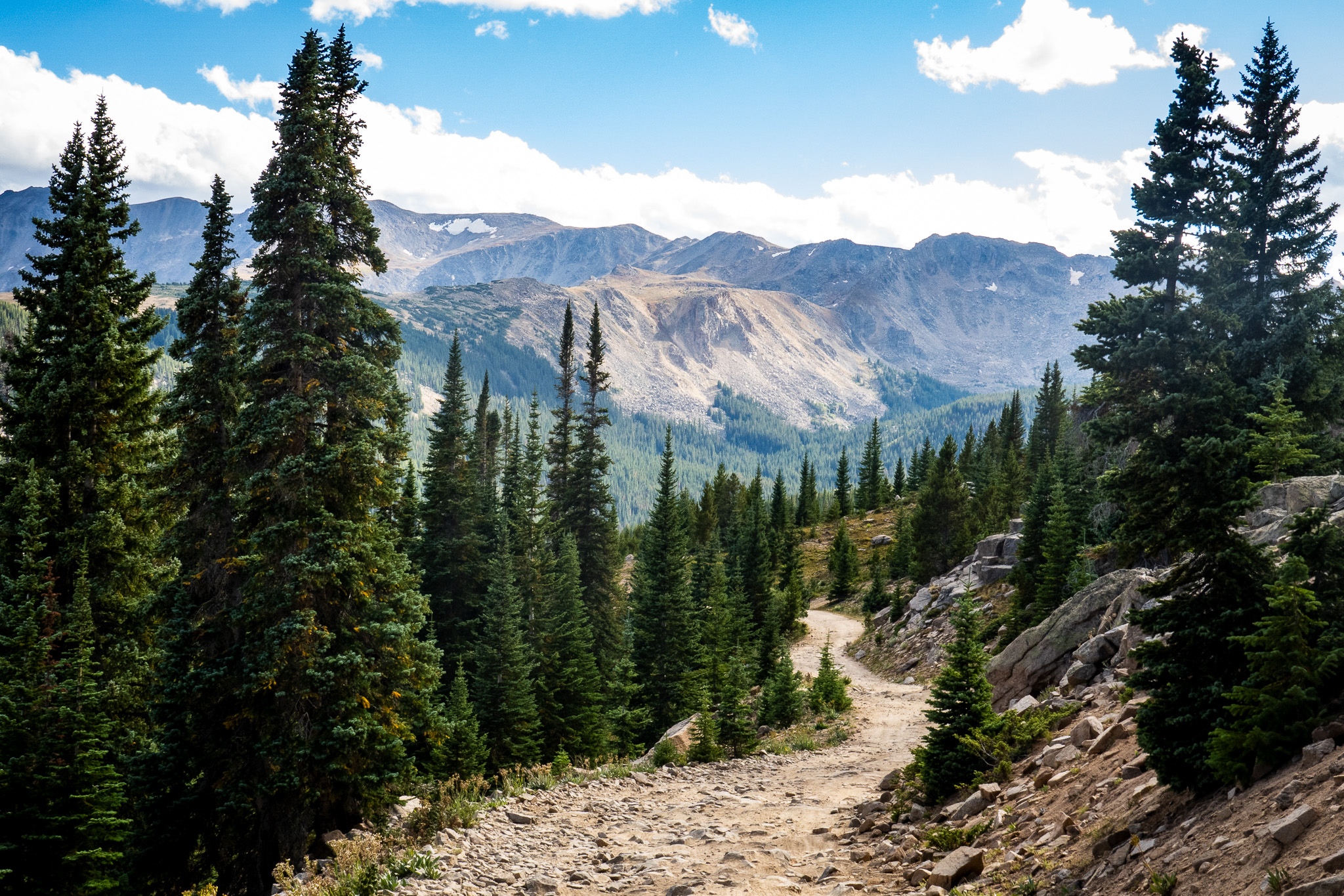 Slipstream AI: A New Route-Planning Tool for Gravel Cyclists – Hailey Moore | The Radavist | A ...