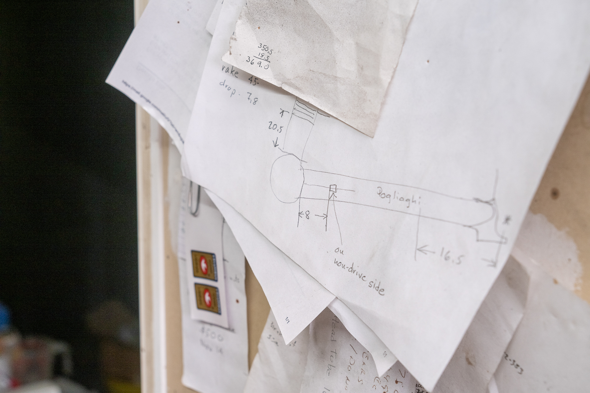 A Deeply Decent Human Being: In Remembrance and Celebration of Ed ...