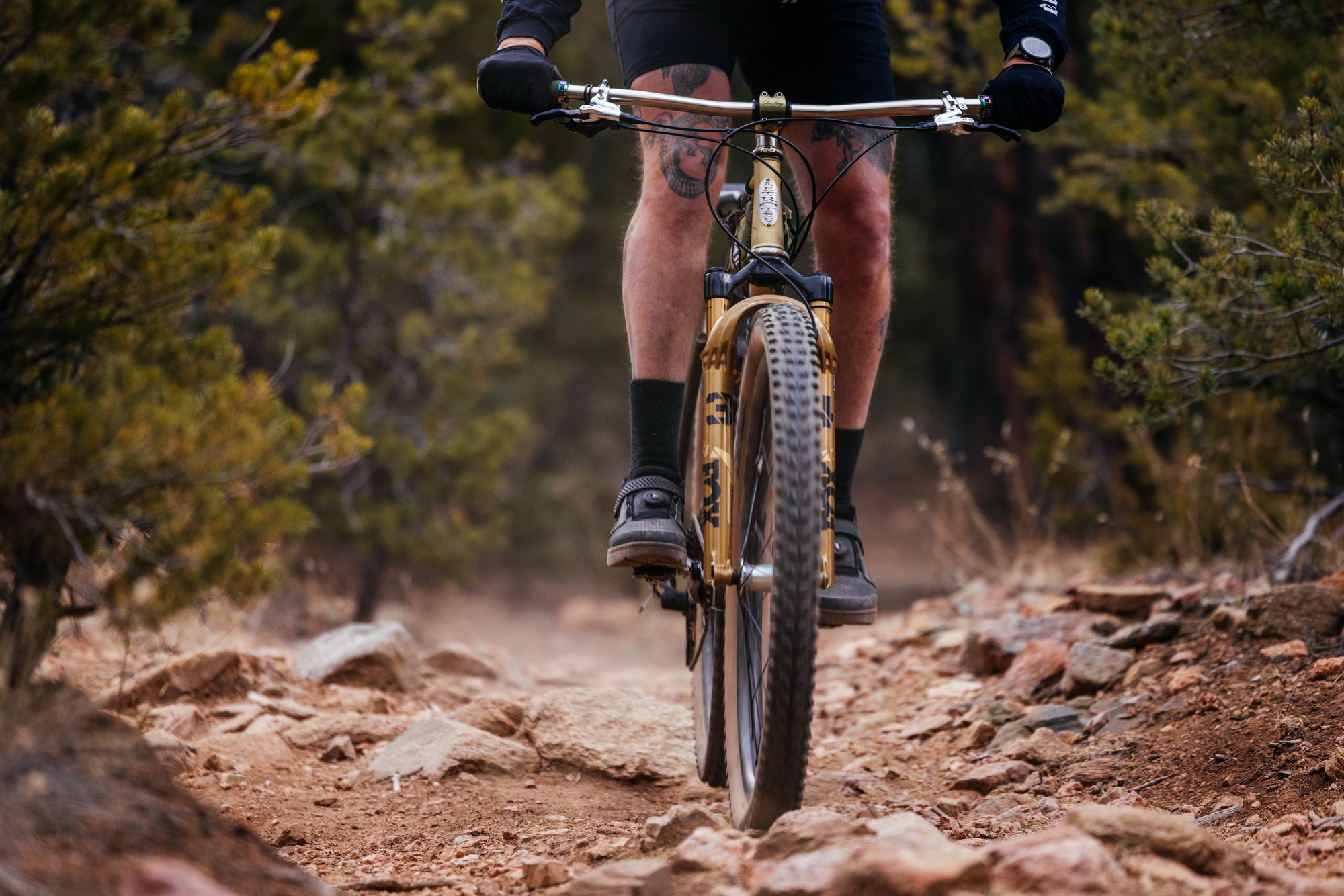 A Long-Term Review of the Fox 34 and Fox 36 Grip X Forks – John Watson ...