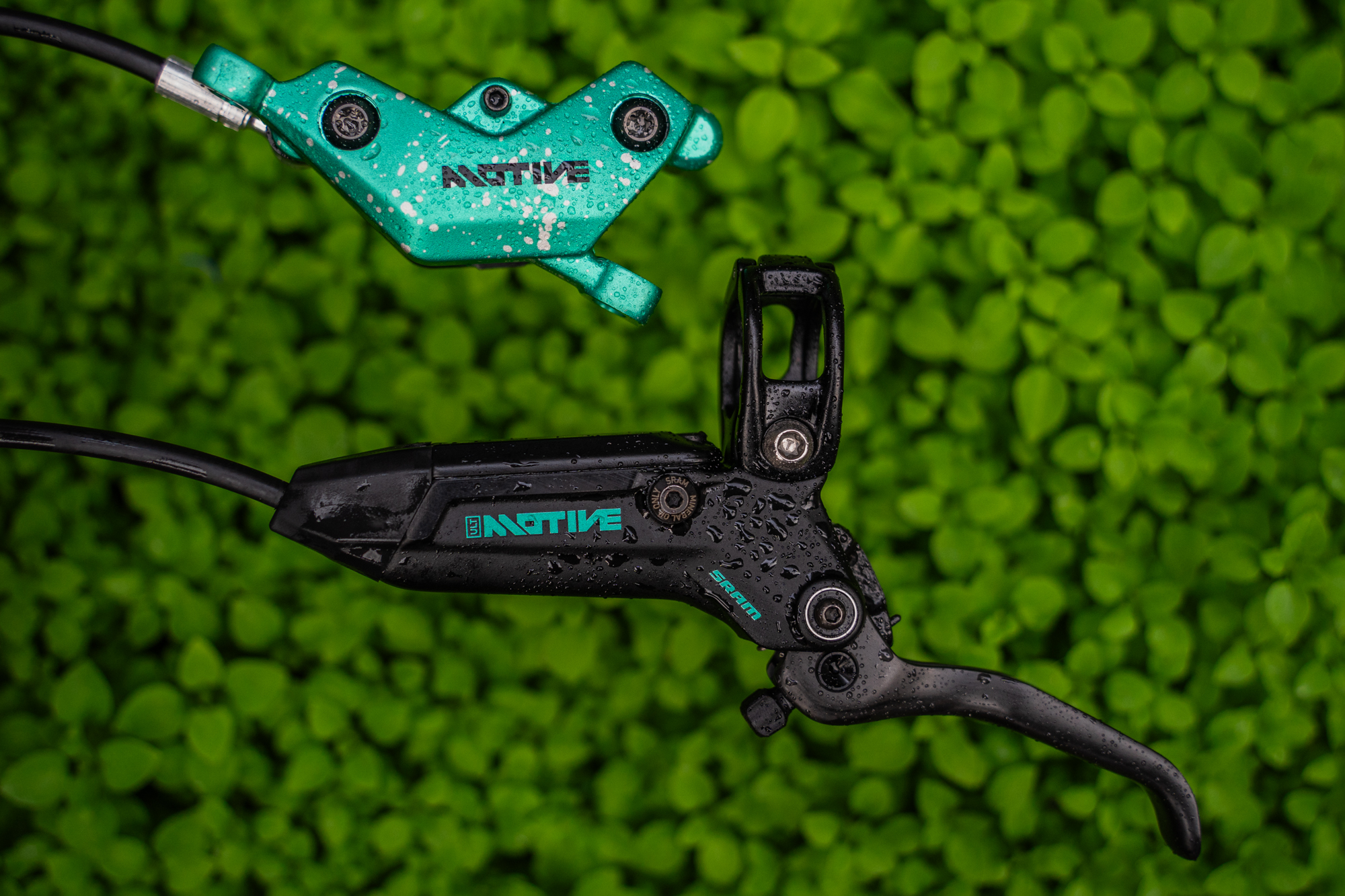 First Ride Review: SRAM Motive Ultimate Brakes – Travis Engel | The Radavist | A group of ...