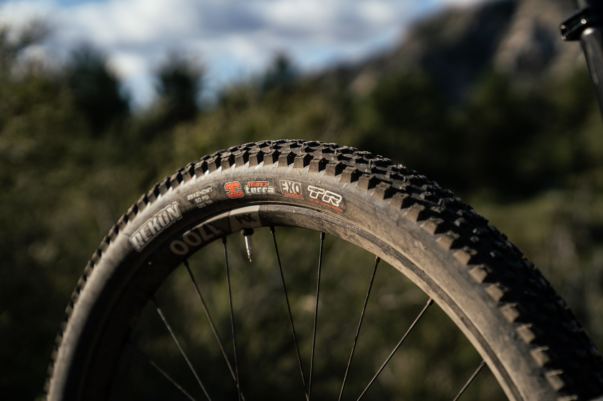 First Ride Review: 2025 Ari Signal Peak – Travis Engel | The Radavist ...