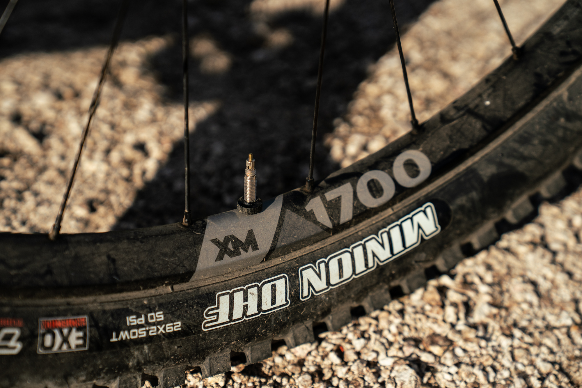 First Ride Review: 2025 Ari Signal Peak – Travis Engel | The Radavist ...