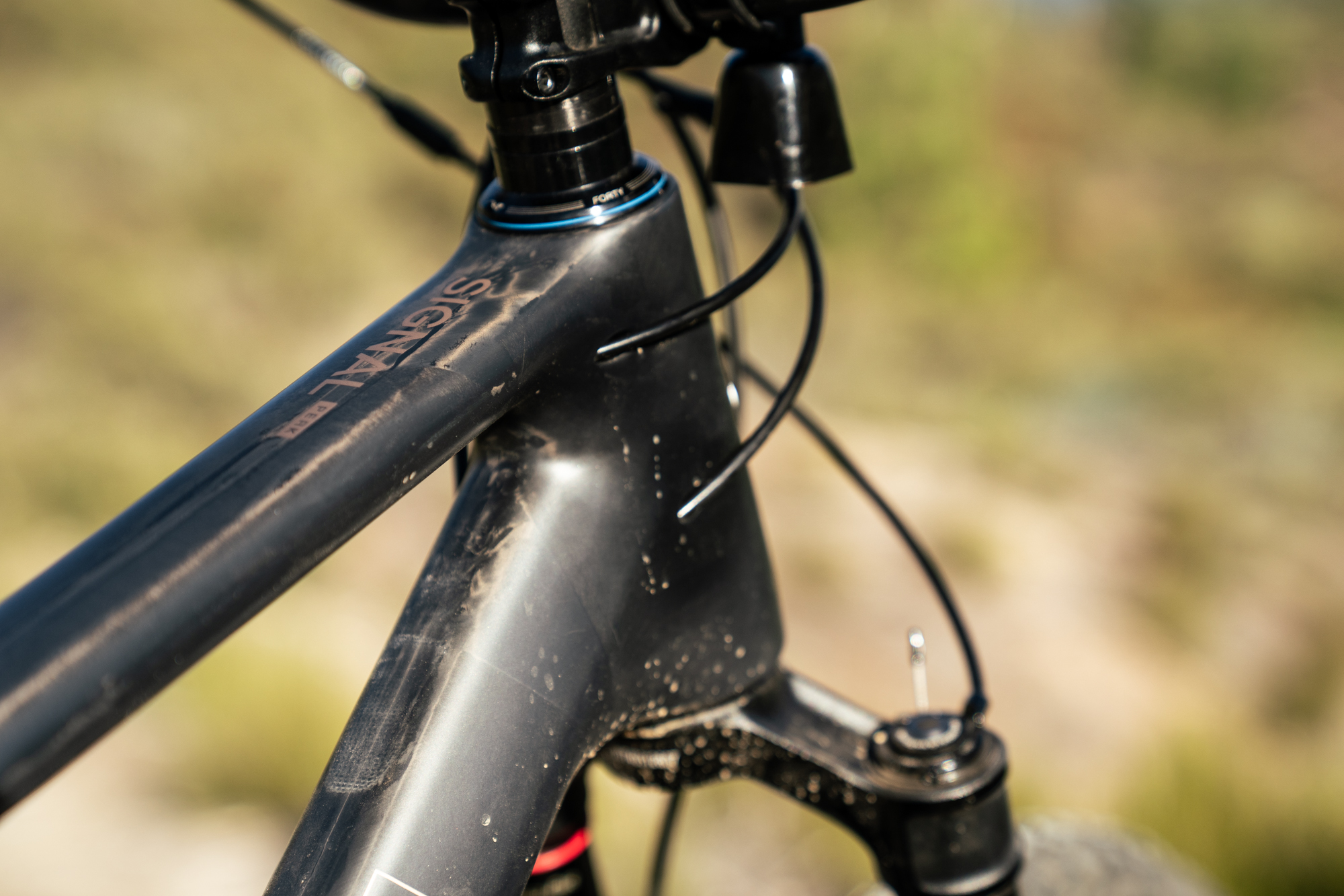 First Ride Review: 2025 Ari Signal Peak – Travis Engel | The Radavist ...