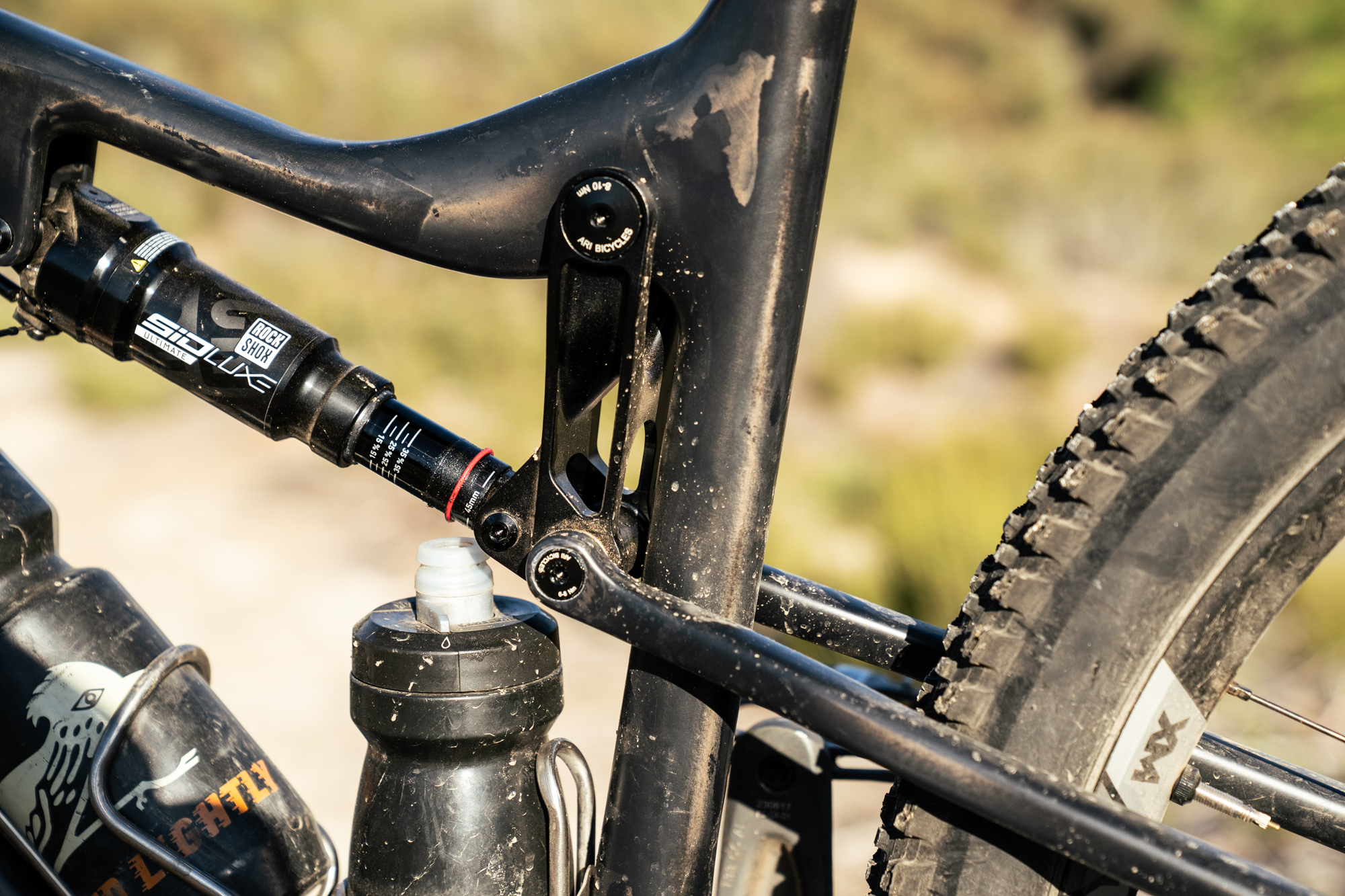 First Ride Review: 2025 Ari Signal Peak – Travis Engel | The Radavist ...