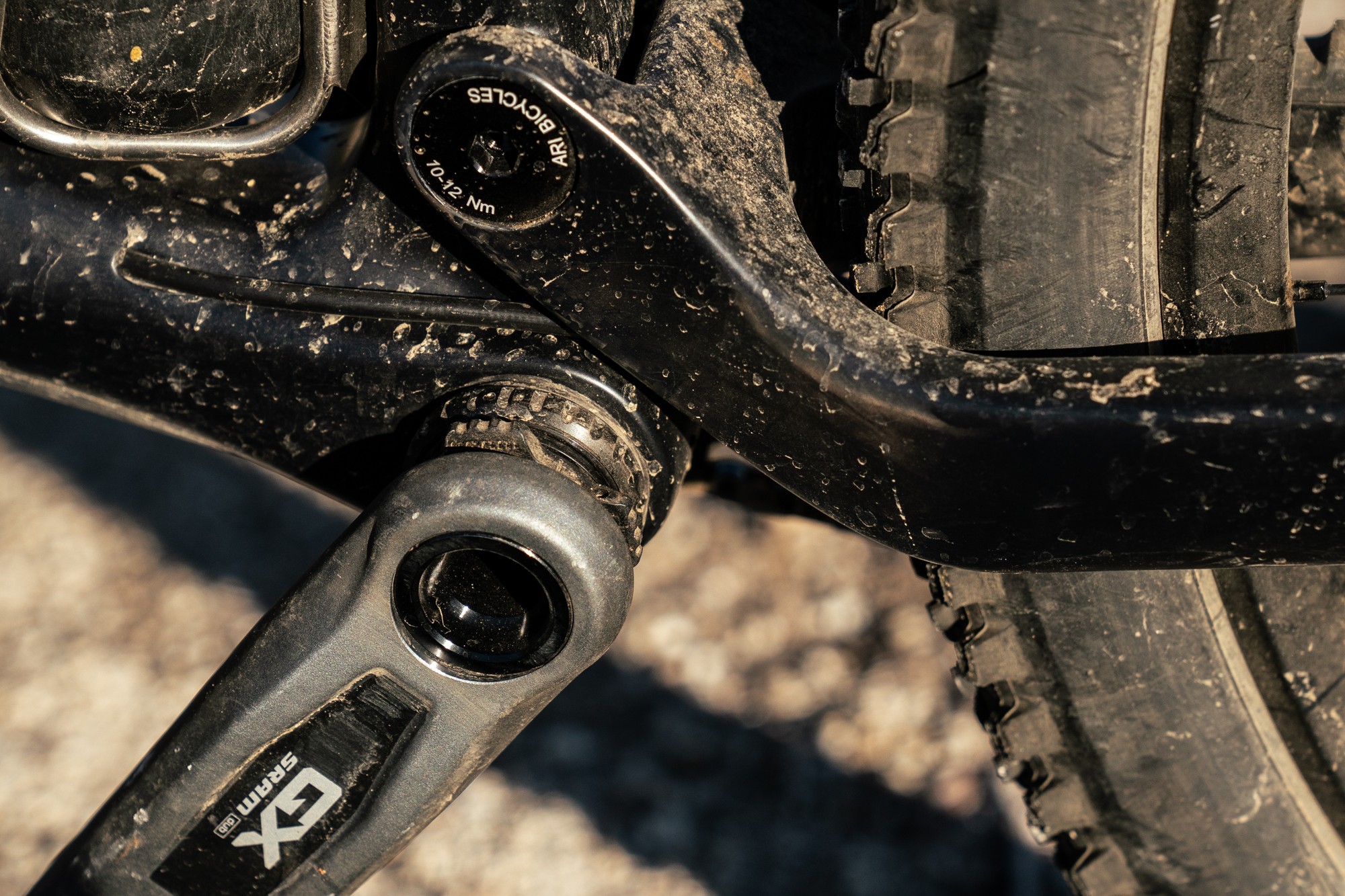 First Ride Review: 2025 Ari Signal Peak – Travis Engel | The Radavist ...