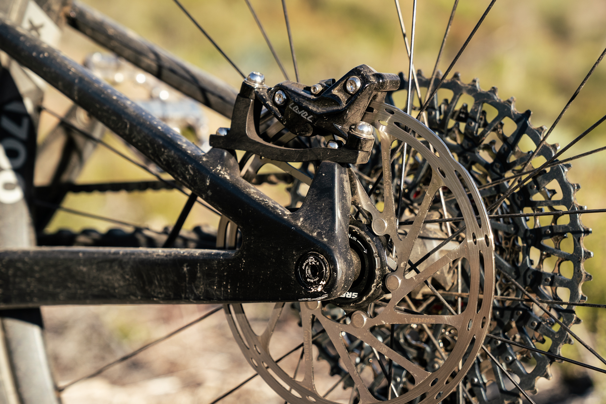 First Ride Review: 2025 Ari Signal Peak – Travis Engel | The Radavist ...