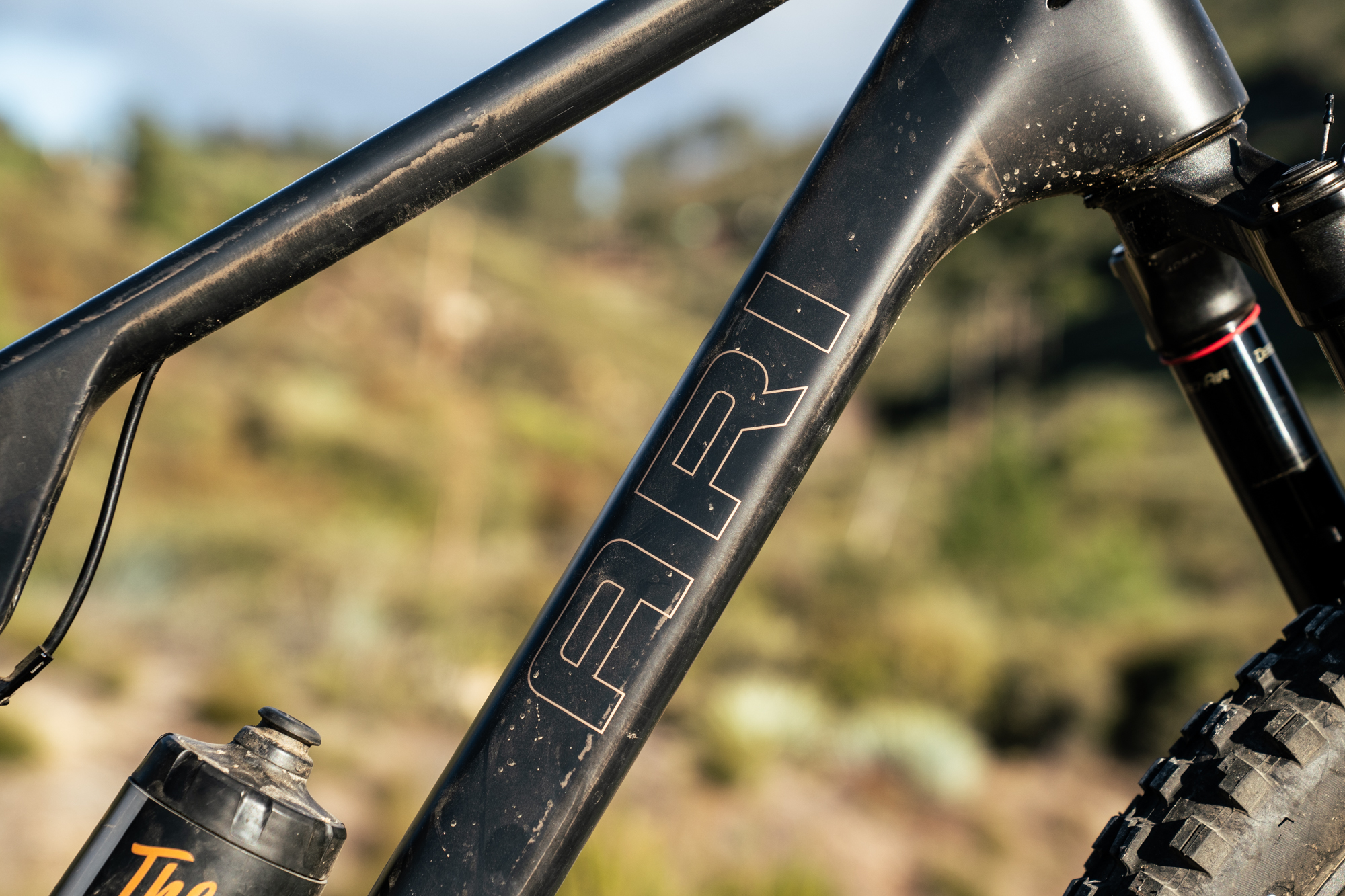 First Ride Review: 2025 Ari Signal Peak – Travis Engel | The Radavist ...