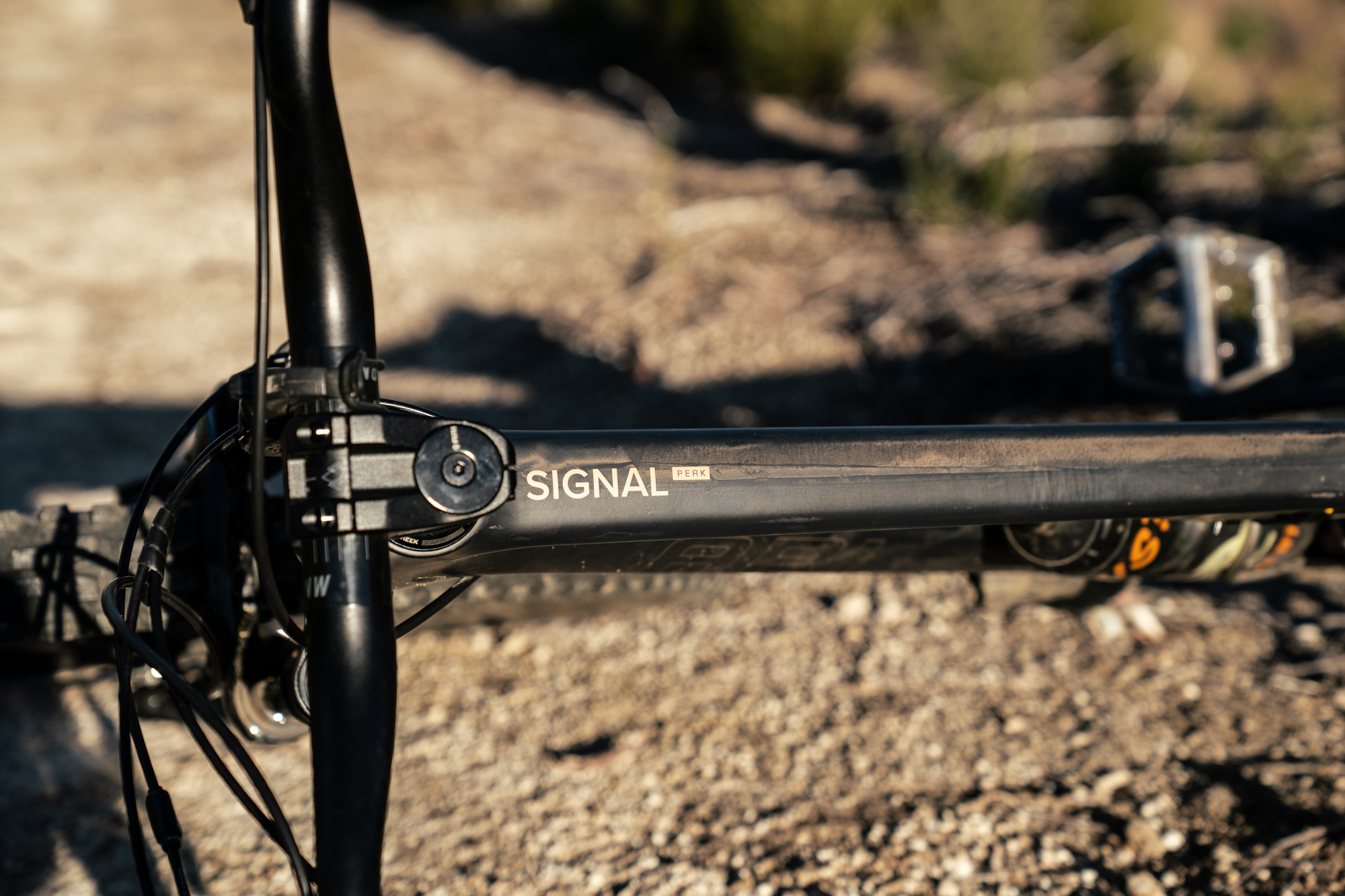First Ride Review: 2025 Ari Signal Peak – Travis Engel | The Radavist ...