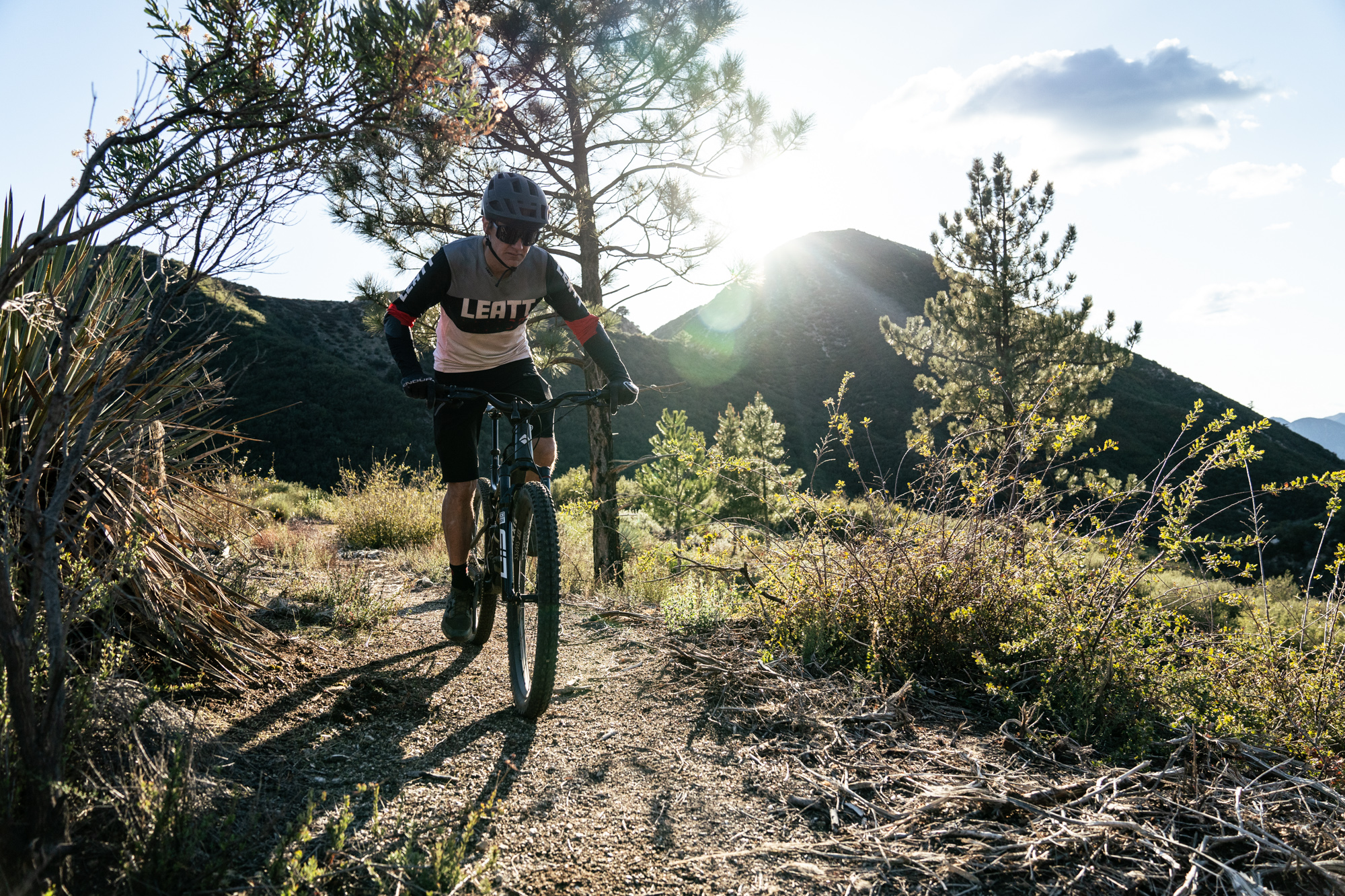 First Ride Review: 2025 Ari Signal Peak – Travis Engel | The Radavist ...