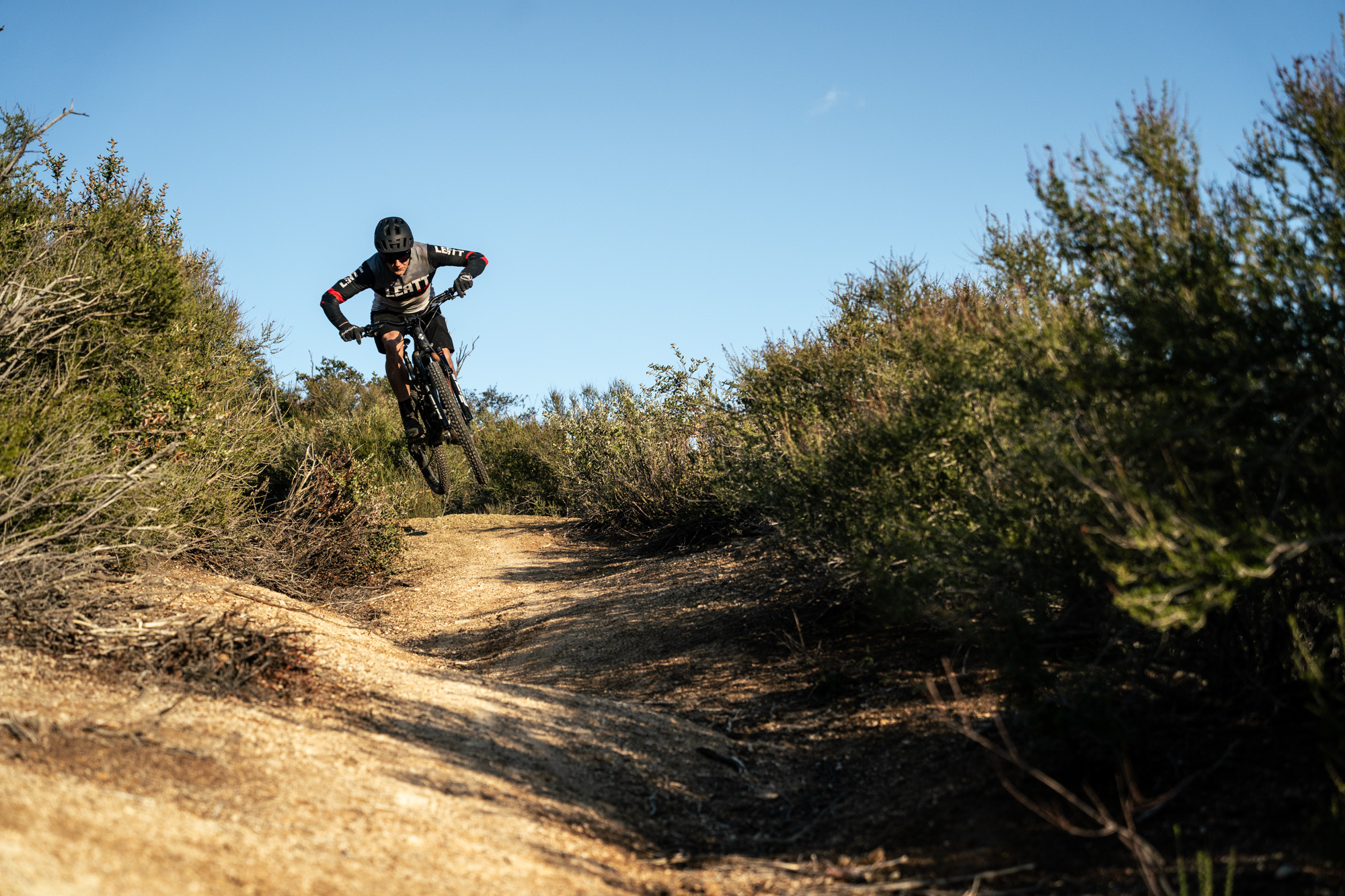 First Ride Review: 2025 Ari Signal Peak – Travis Engel | The Radavist ...