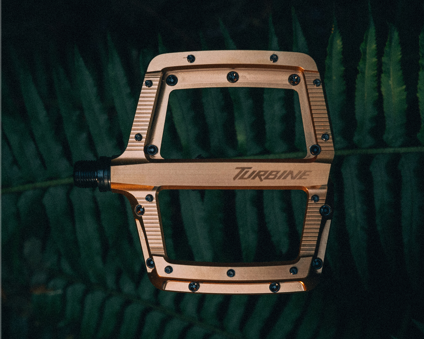 The All-New Race Face Turbine Pedal | The Radavist | A group of ...