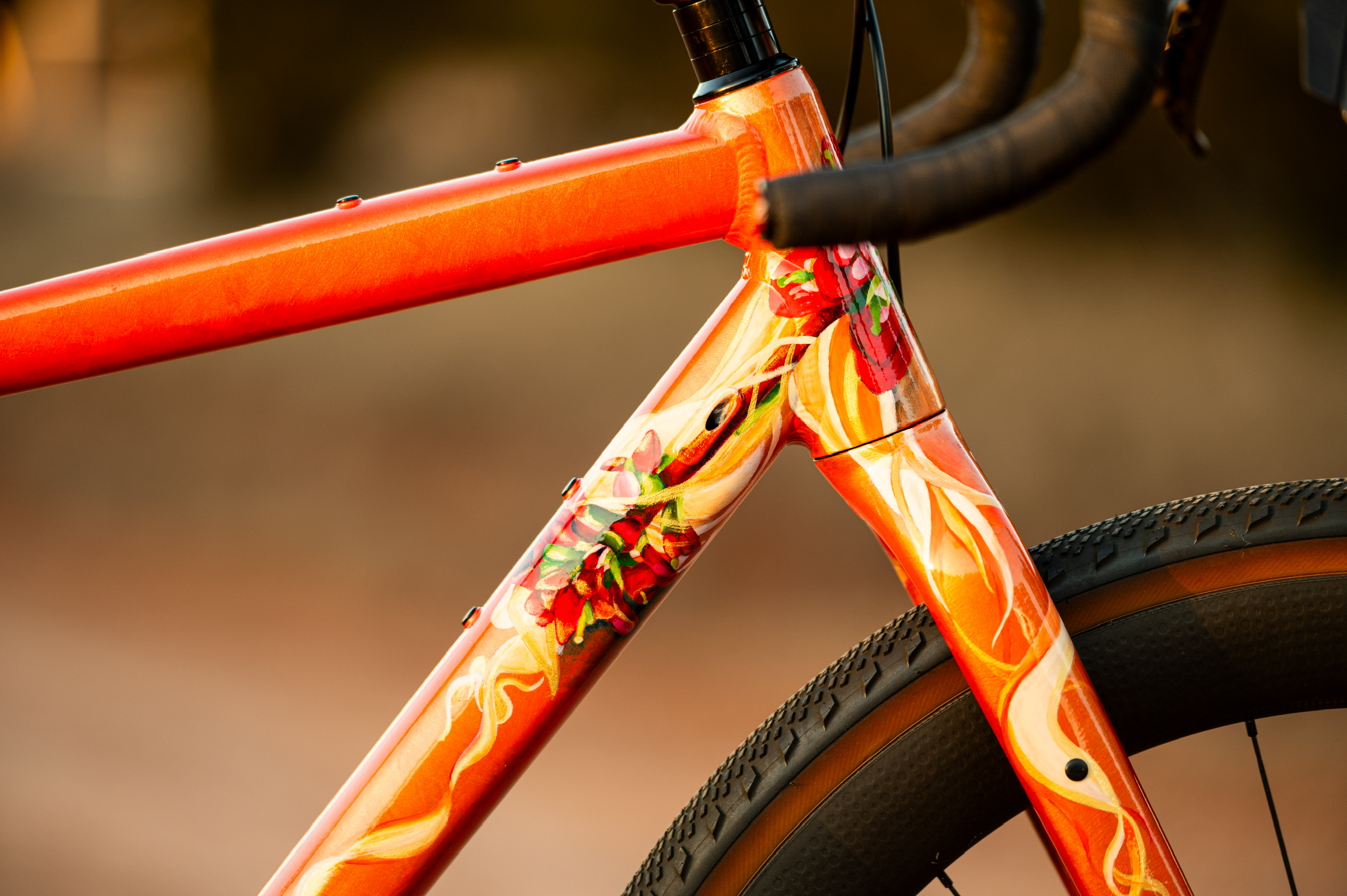 A Look at the Mid-South Custom “Prairie Fire” Salsa Stormchaser | The ...