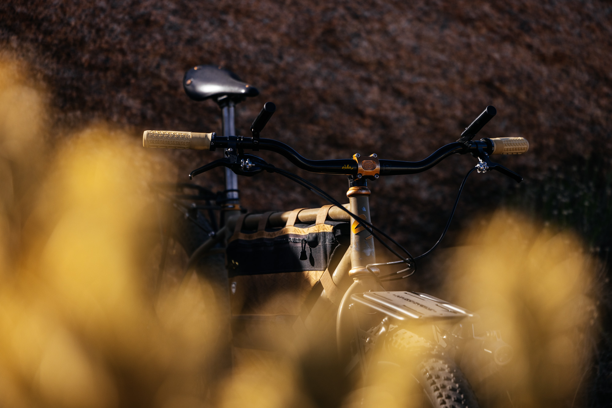 Rogue Panda Bamboo Shoots Bar Inners Review | The Radavist | A group of ...