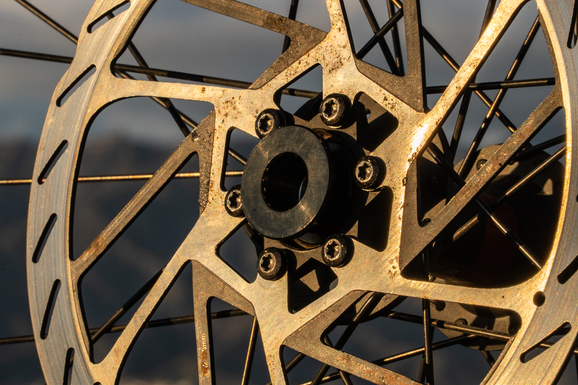 Dream Weaver: Building the Perfect Bikepacking Wheelset with DT Swiss ...