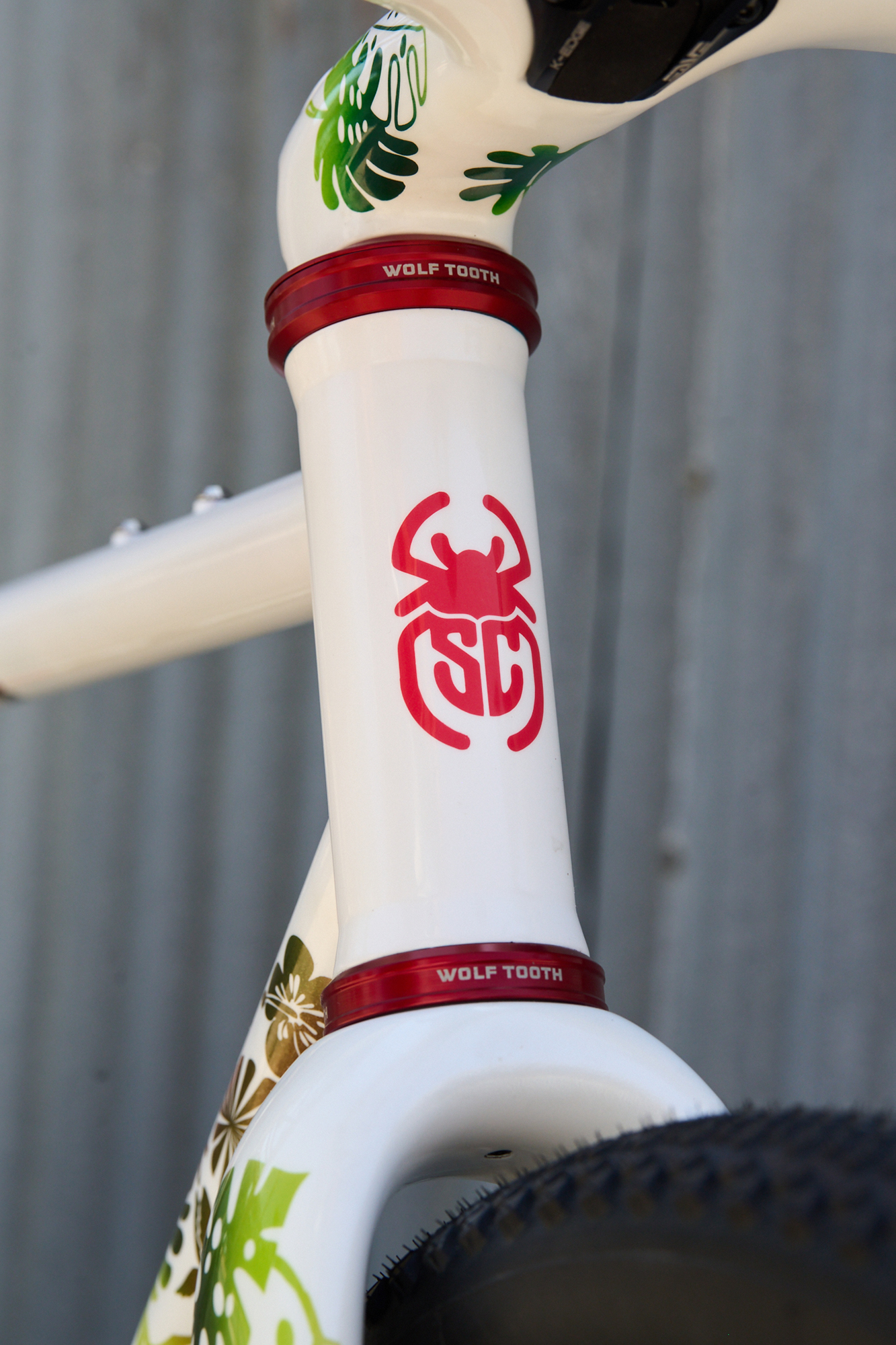 Scarab Updates the Paramo Line with Larger Tires | The Radavist | A ...