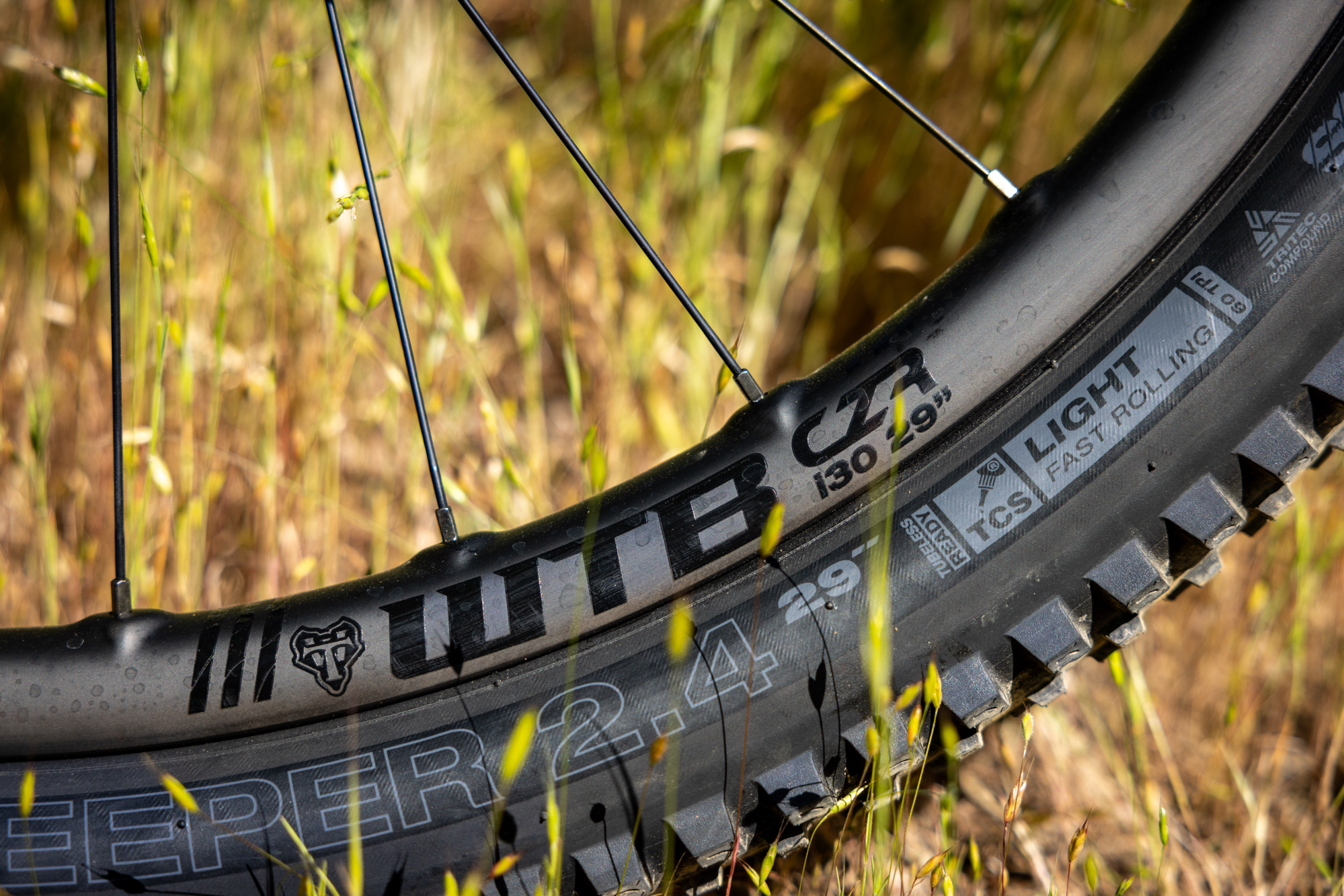 Introducing the WTB Peacekeeper | The Radavist | A group of individuals ...