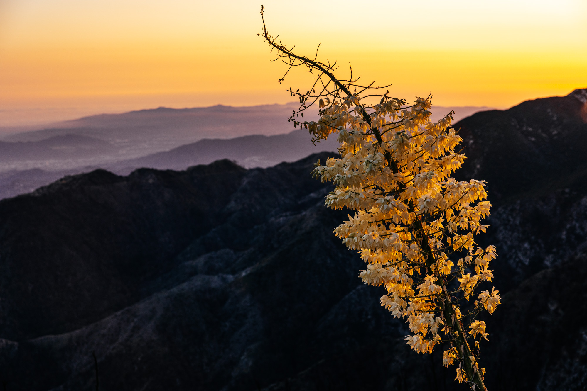 Rad Bazaar Scammer Banz and Radavist Membership – John Watson | The ...