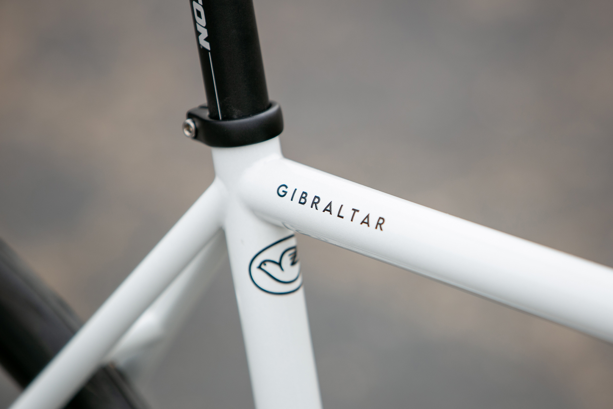 Stinner Launches Podium and Select Gibraltar Road Bikes | The Radavist | A group of individuals ...